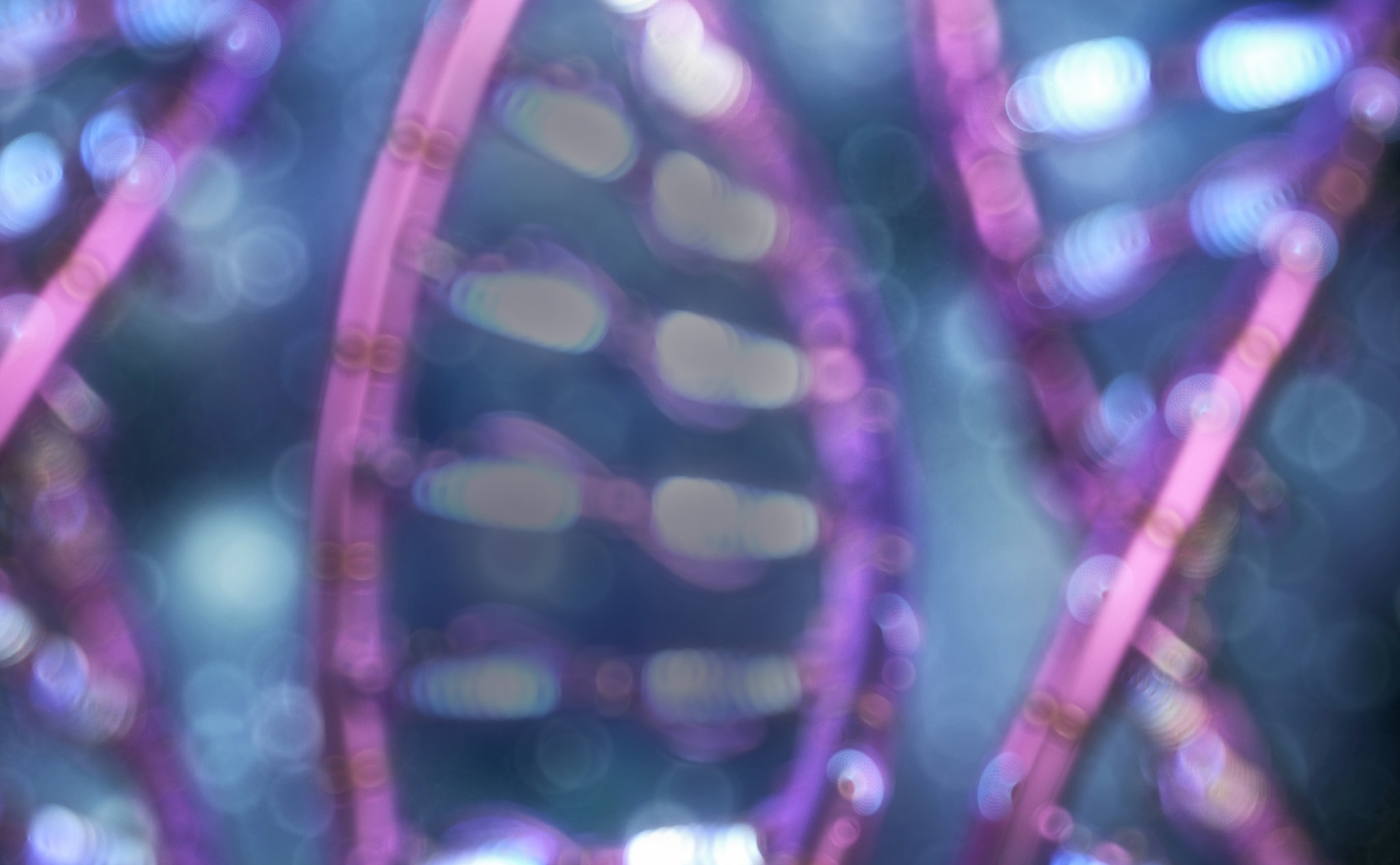 Alles wat je wil weten over DNA en erfelijkheid
