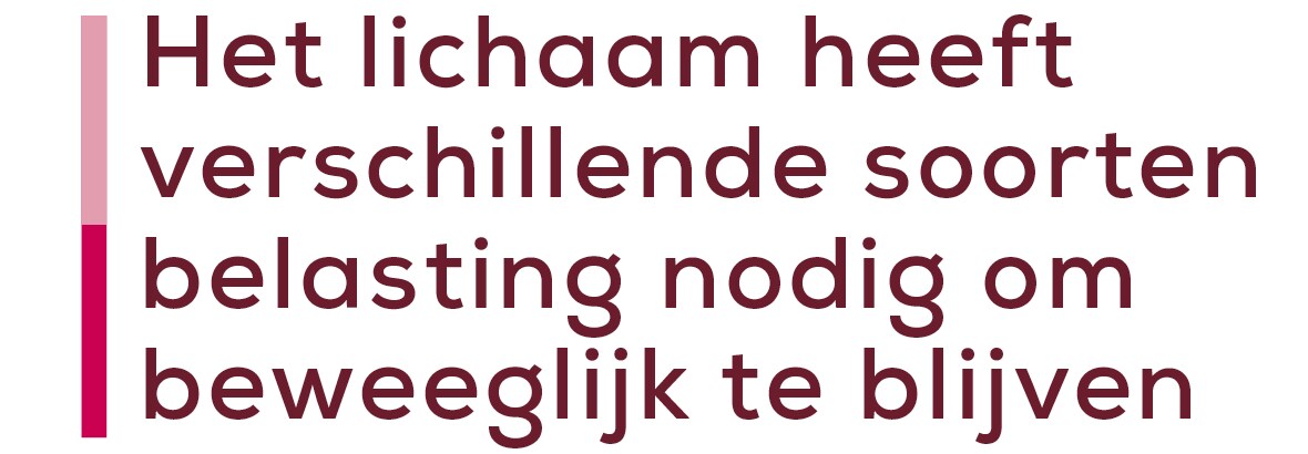 Dág stijve spieren: stretch jezelf soepel (met oefeningen voor elke dag ...