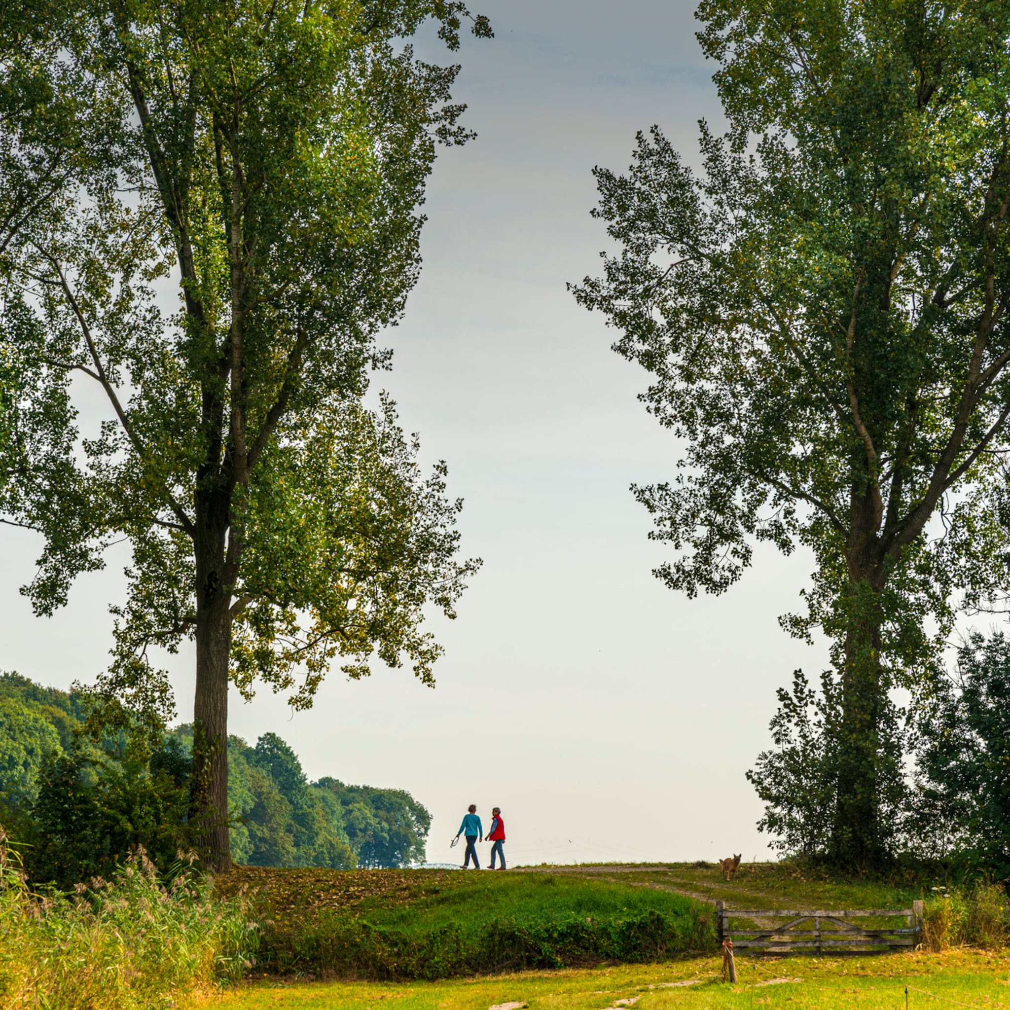 Een hitteberoerte: zo herken je het en dit is wat je moet doen