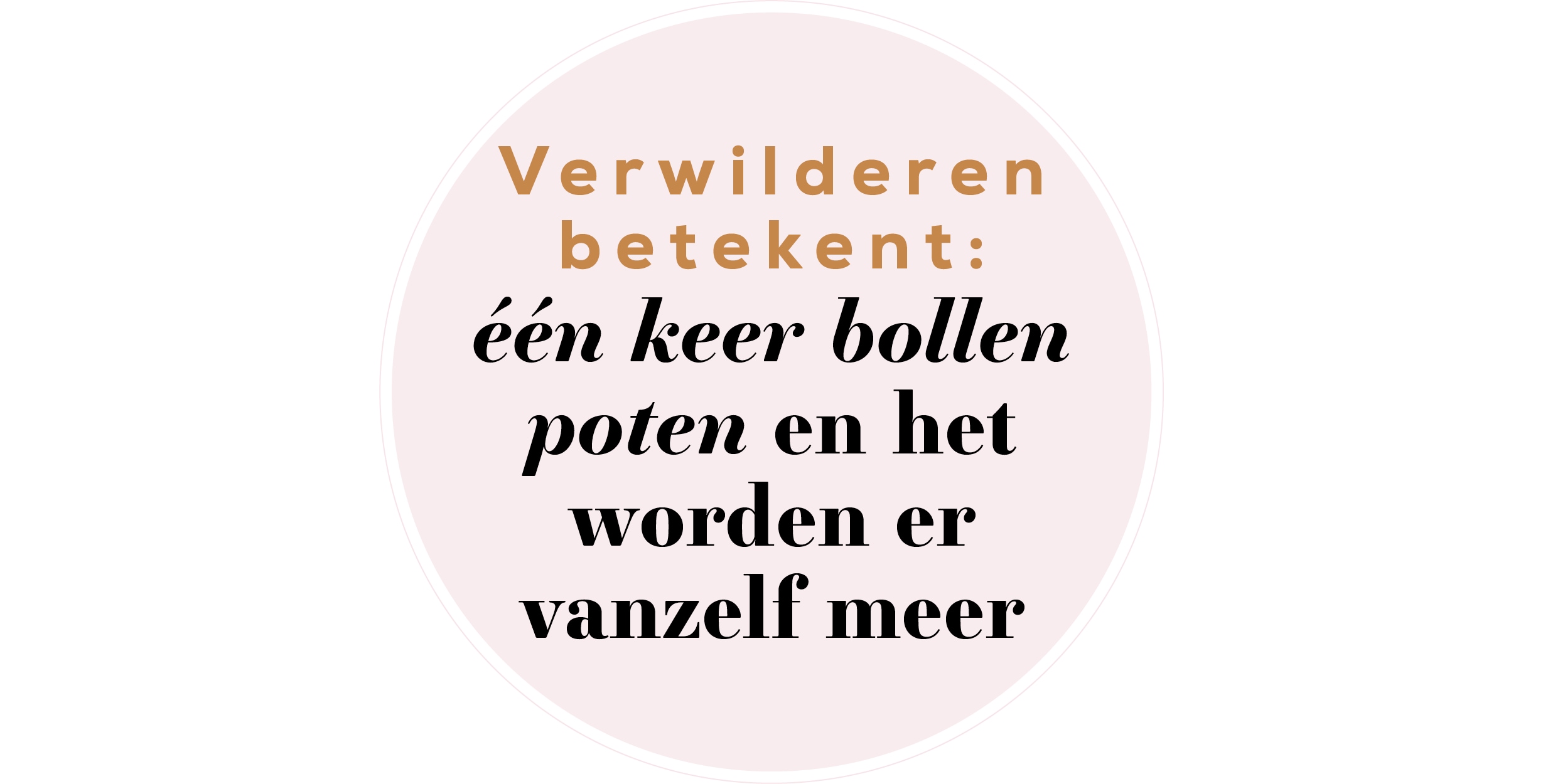 Zo krijg je een tuin vol met deze beauties | Libelle