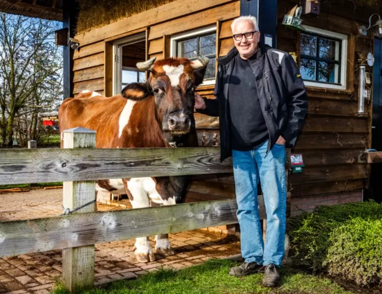 Ewoud en Dina hebben een koe in hun achtertuin: “Voor ons is Eva een ...
