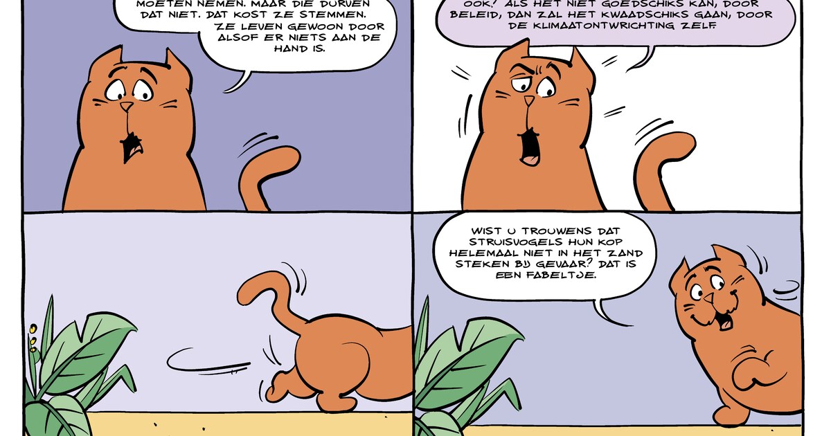 Jan, Jans en de kinderen over struis-vogel gedrag | Libelle