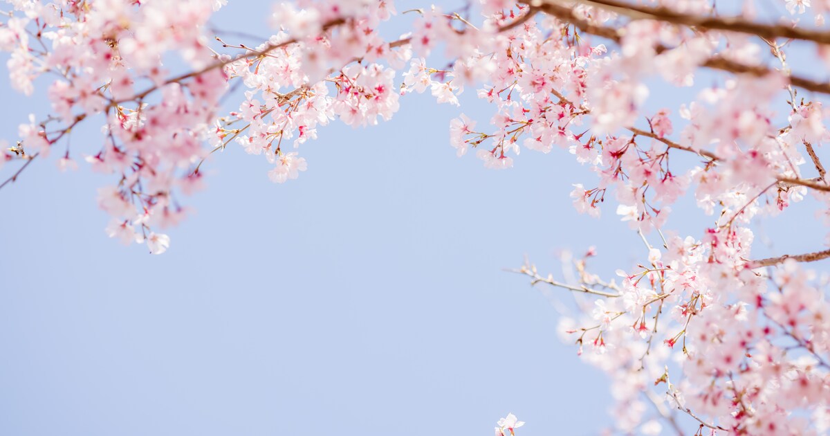 Leuk triviaweetje: dít betekent het woord ‘lente’ | Libelle