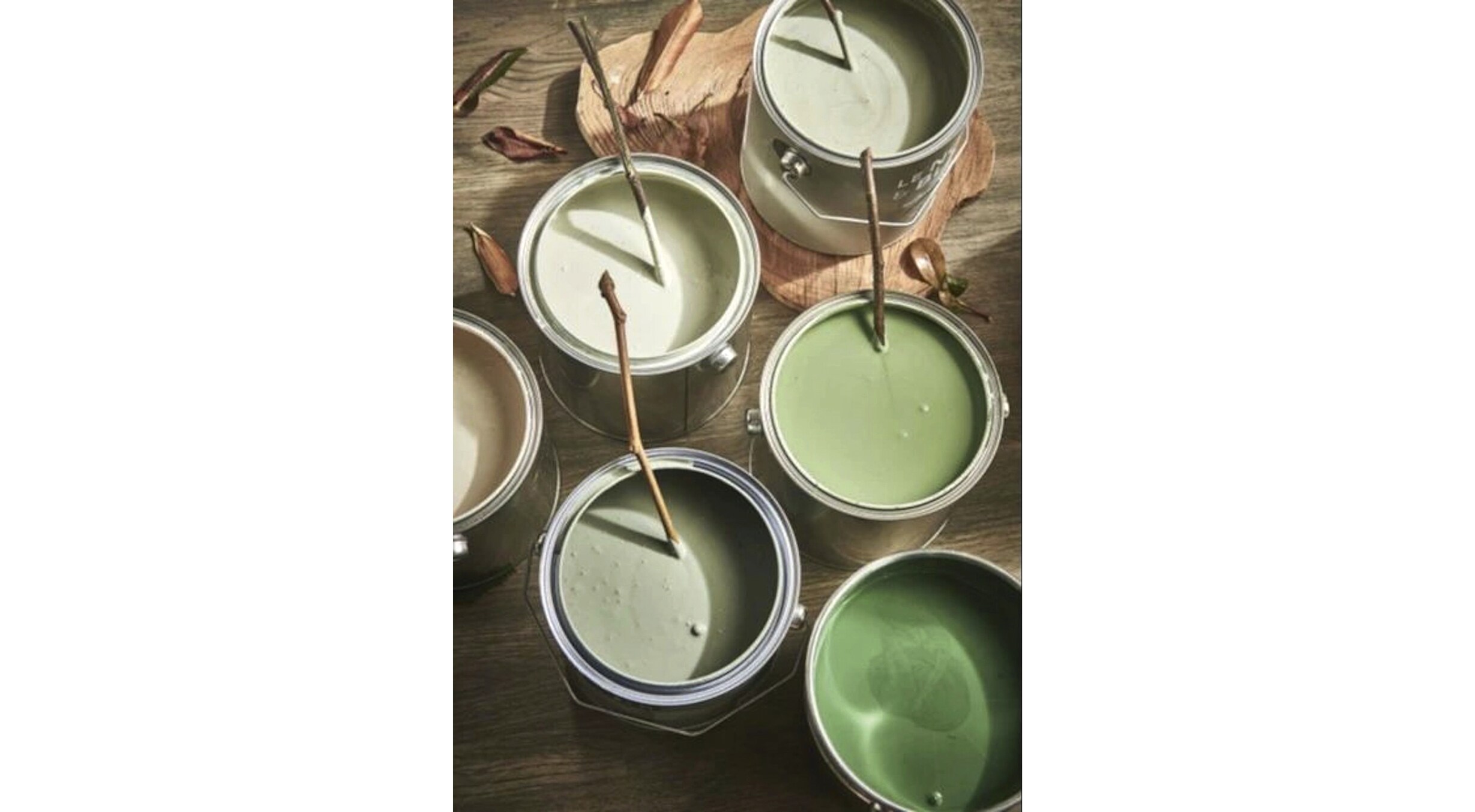 Mini-masterclass groen in huis | Libelle