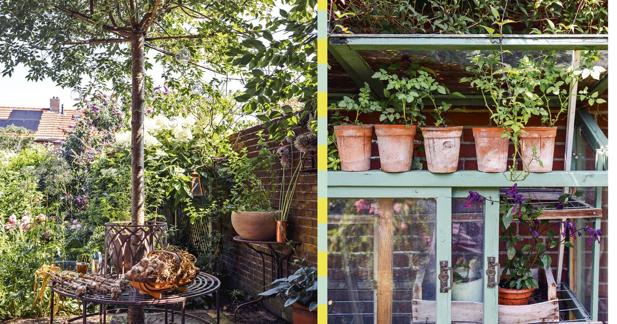 “Mijn tuinen zijn alles voor me” | Libelle