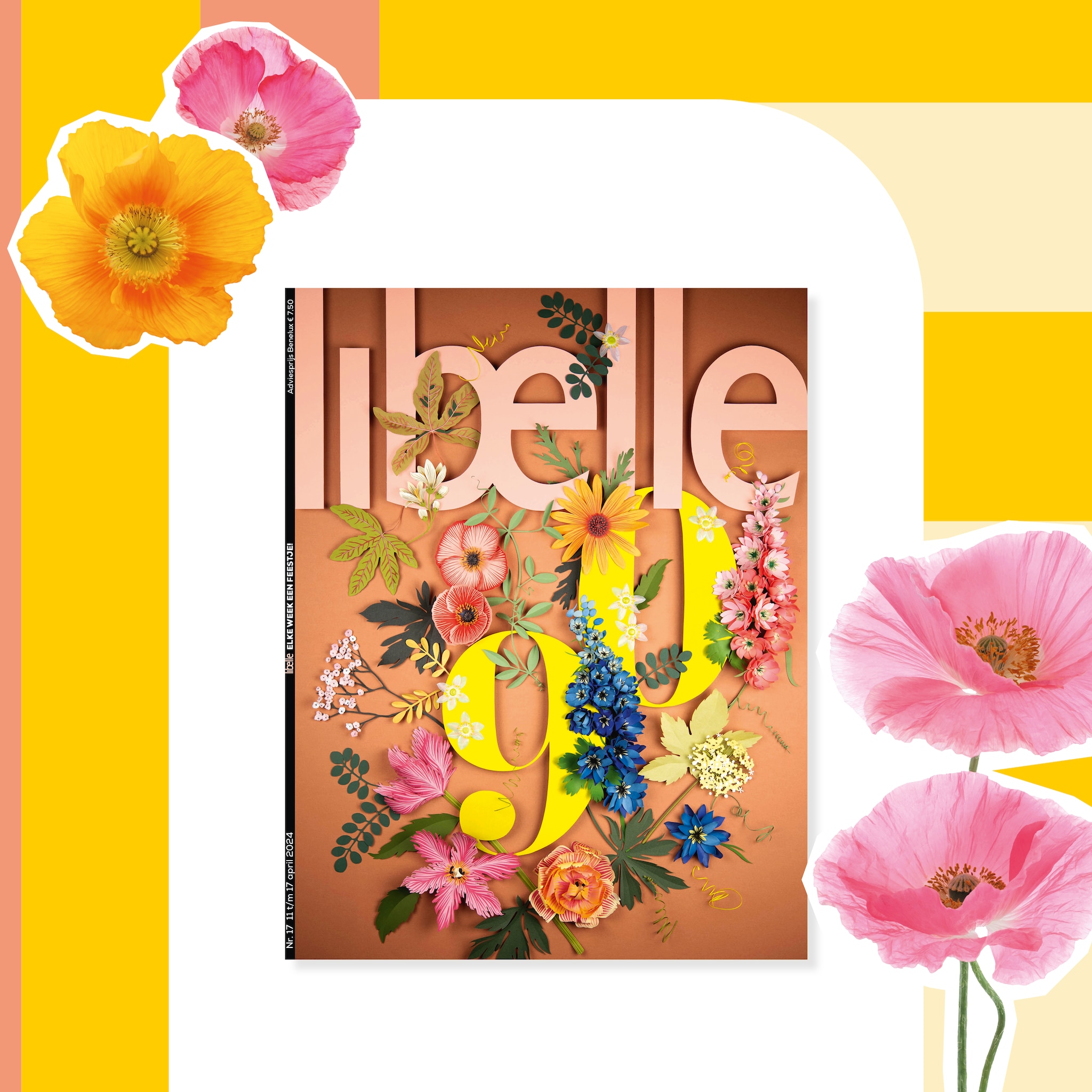 Libelle Legt Uit: Waarom heeft Van der Valk een toekan als logo ...