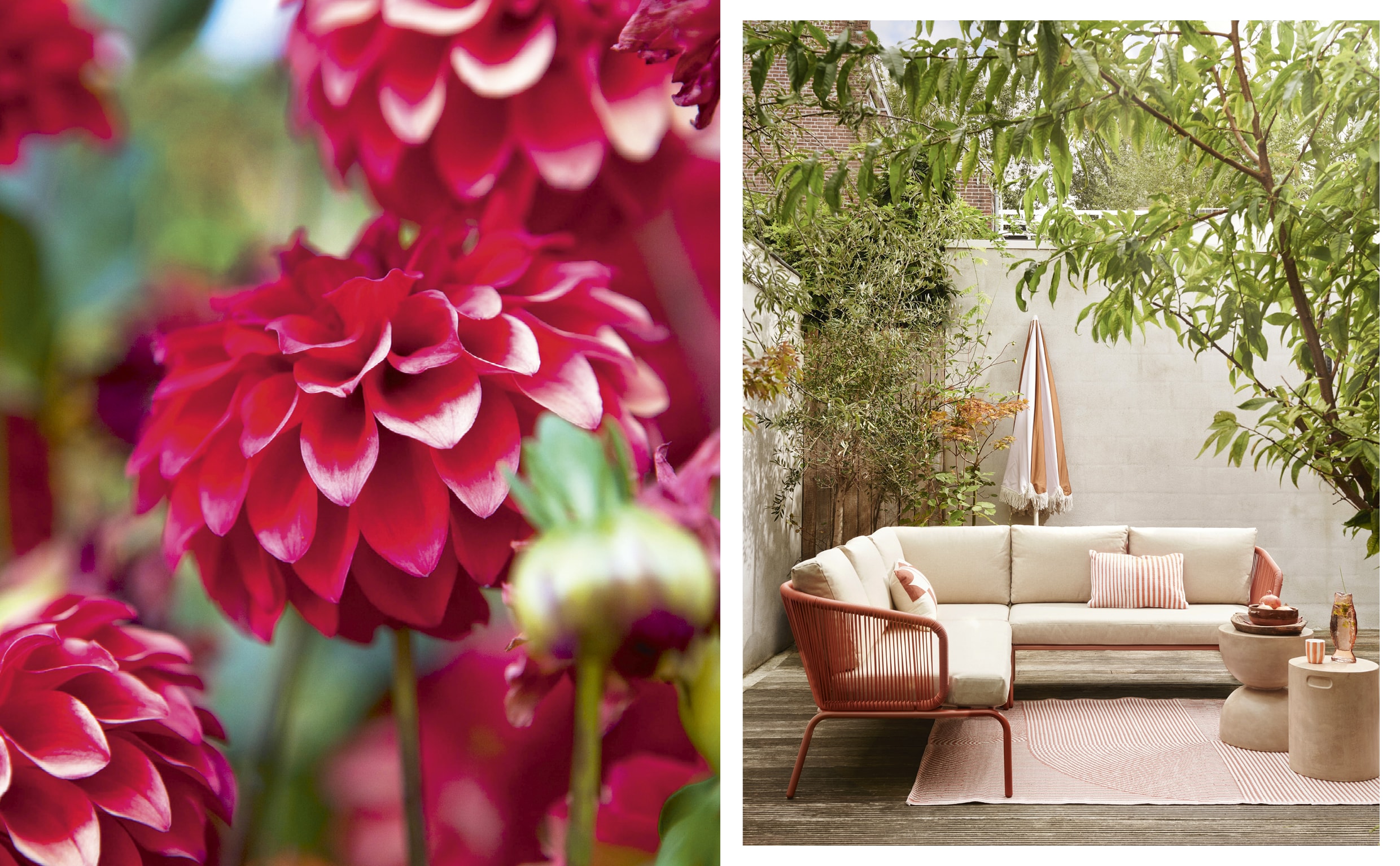 Zo knal je met rood in de tuin | Libelle