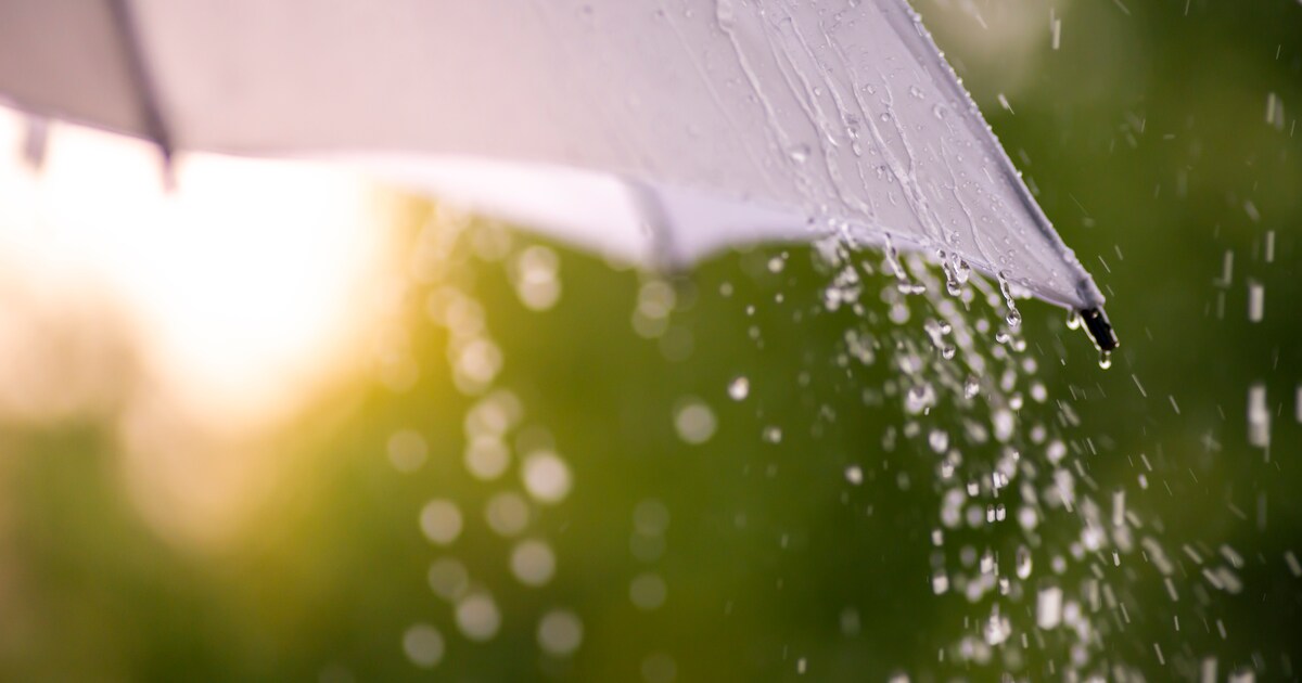 Is het normaal dat het zoveel regent? Meteoroloog legt uit | Libelle