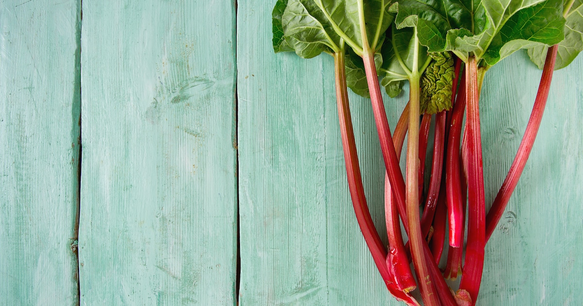 Lekker! 8 x koken met rabarber | Libelle