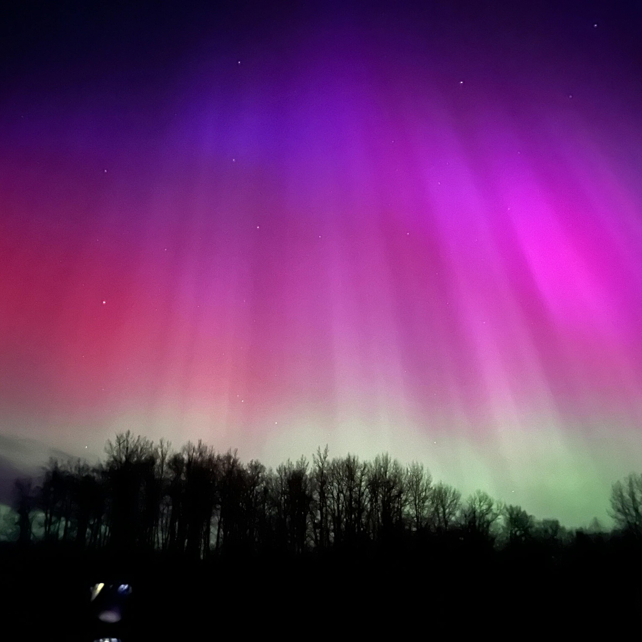 Zo weet je altijd op tijd of het noorderlicht in Nederland te zien is