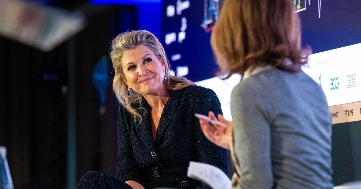 Net zo'n mooi pak met een subtiel flonkertje als Máxima | Libelle