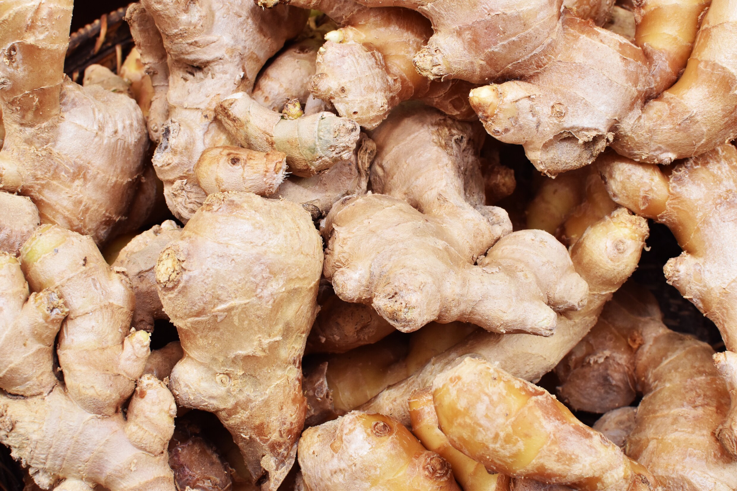 Van wortel tot oogst: zo kweek je je eigen gember | Libelle