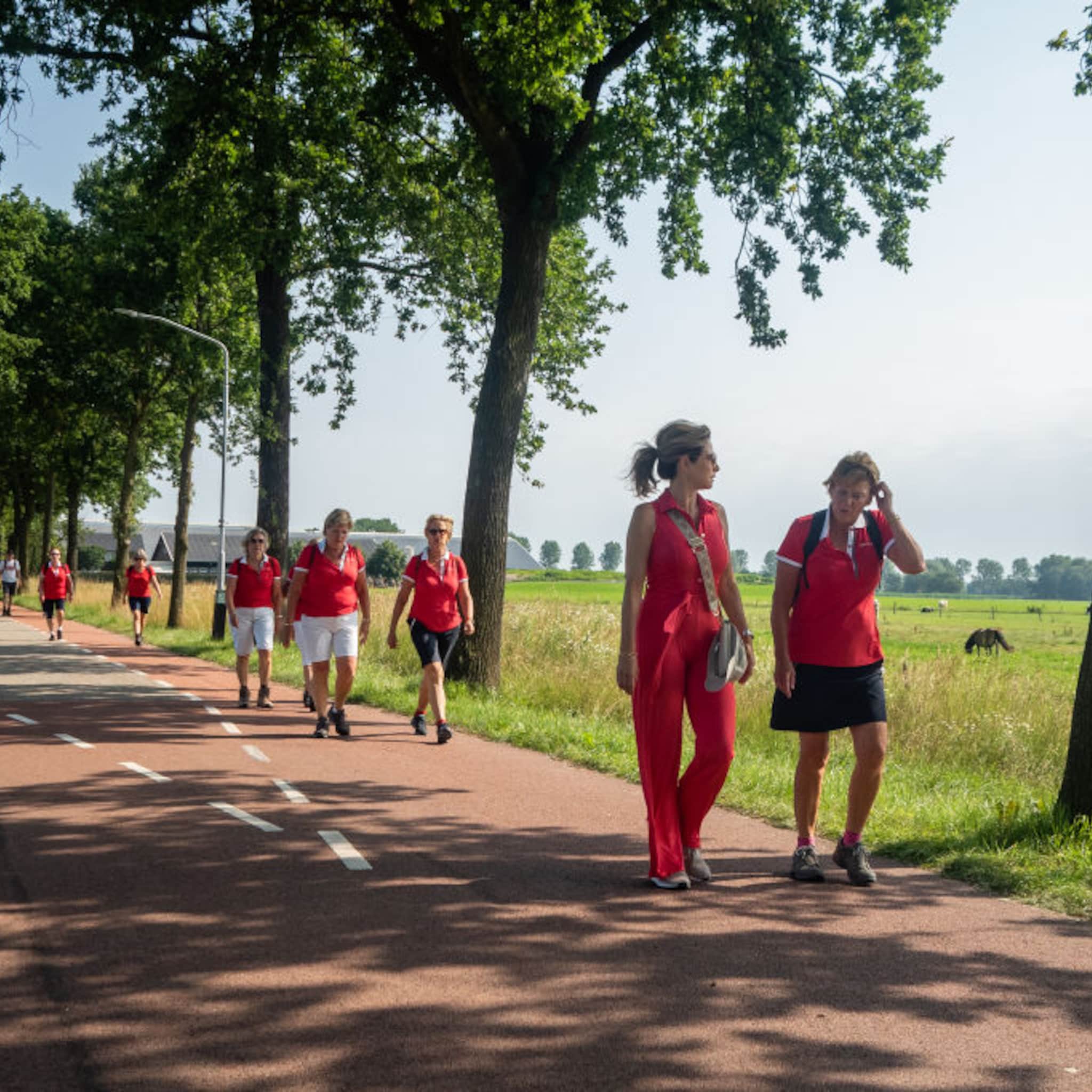Begin nu met dit schema en ren over 10 weken 5 kilometer