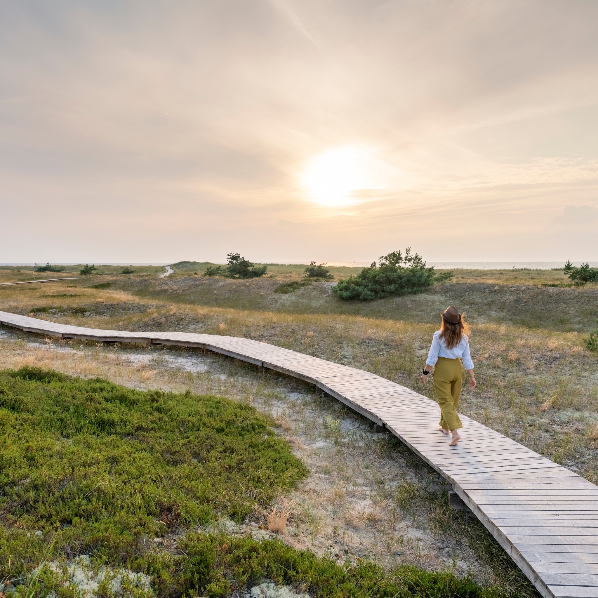 Nijmeegse Vierdaagse vol? Dit zijn de drie ándere lange wandelmarsen ...