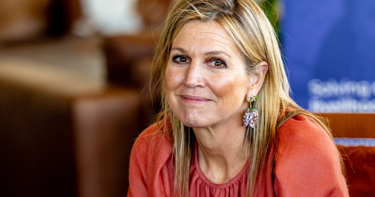 Máxima in Johannesburg: vergaderen in een ‘soft diplomacy’-look | Libelle