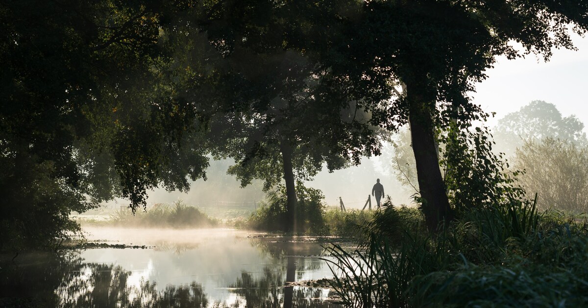 Dit zijn 7 heerlijke wandelingen langs het water in Nederland