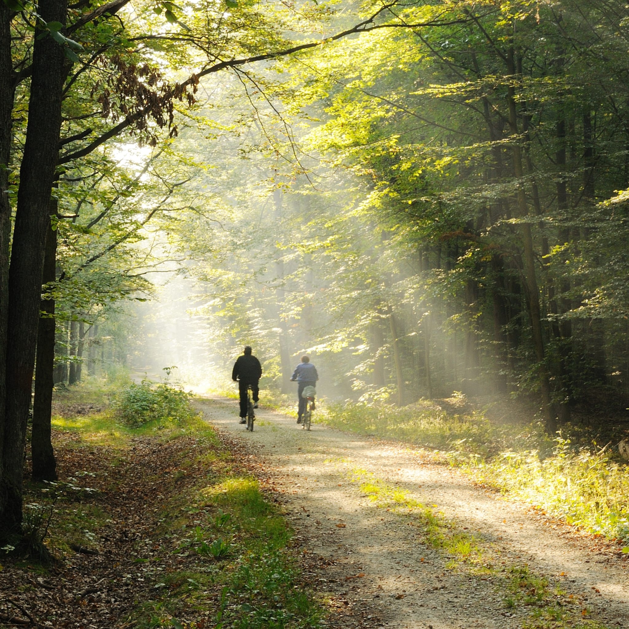 Vijf prachtige Trage Tochten om wandelend tot rust te komen