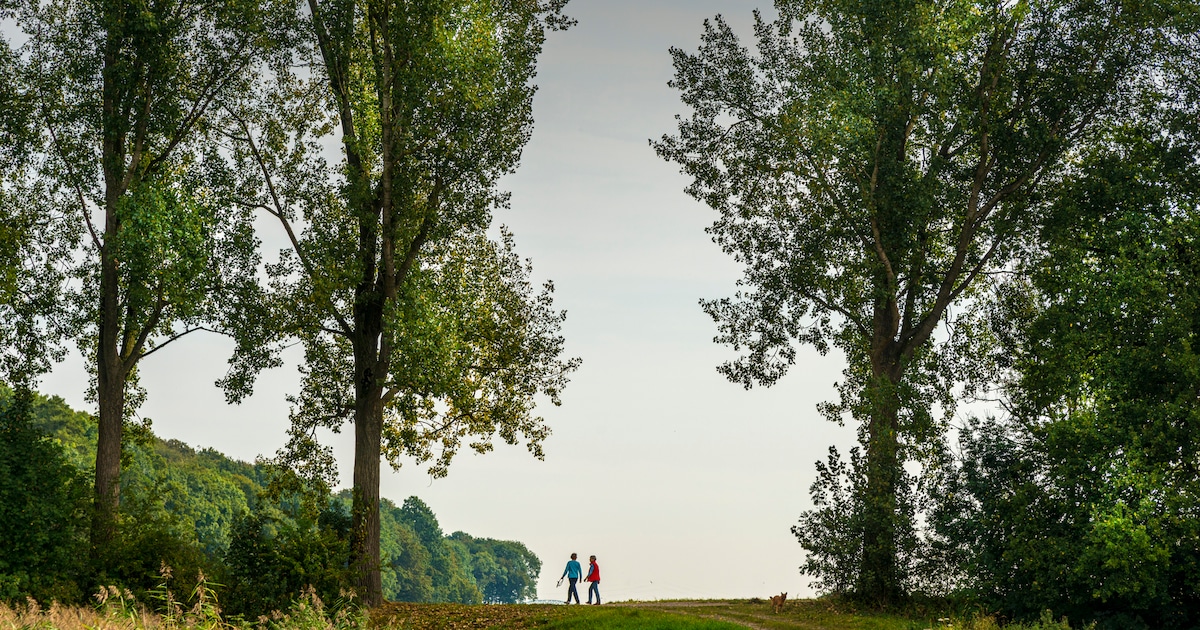 Vijf prachtige Trage Tochten om wandelend tot rust te komen