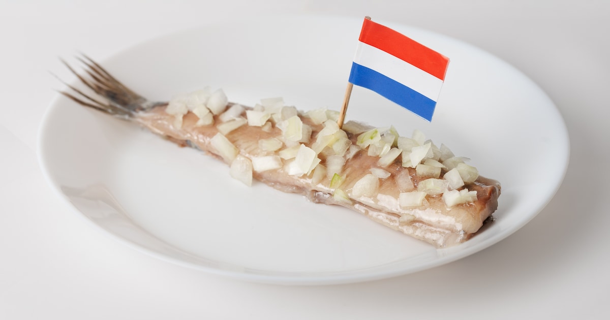 Hollandse Nieuwe: vanaf deze datum opent het haringseizoen | Libelle