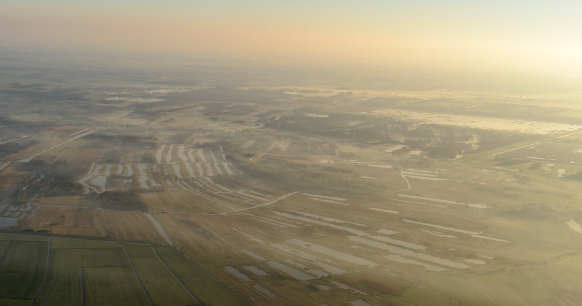 Het RIVM waarschuwt kwetsbare mensen voor zomersmog | Libelle