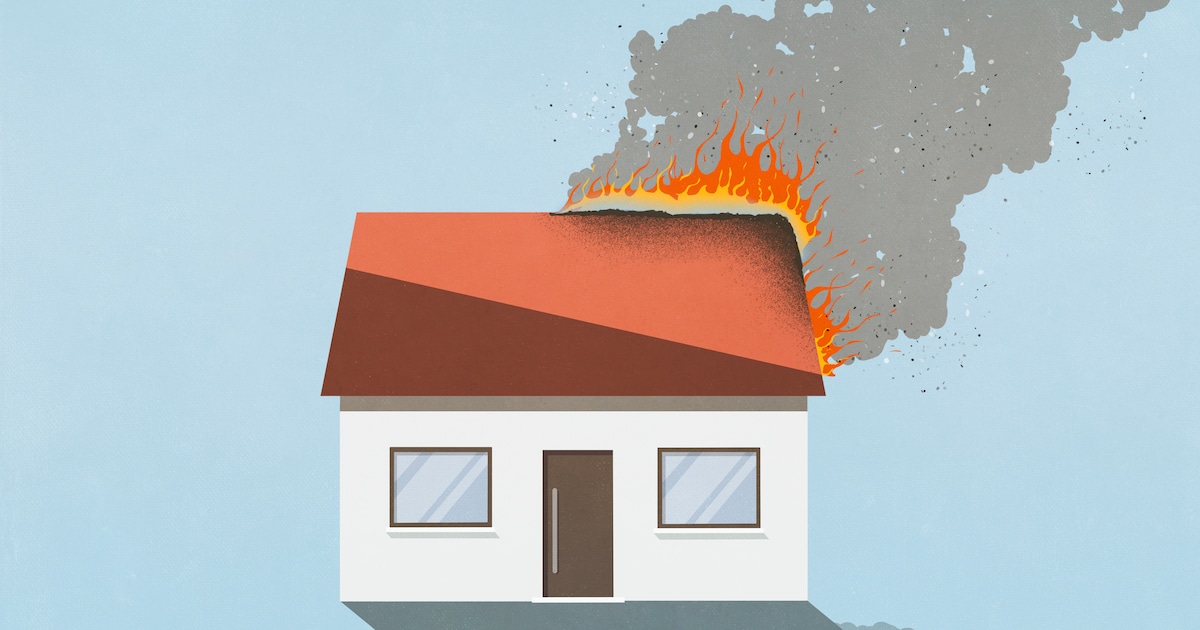 Grote brand bij boer John van ‘Boer zoekt vrouw’ zorgt voor 50.000 dode ...