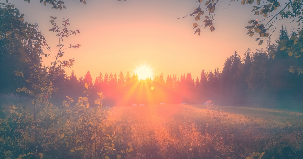 De zonnewende als ijkpunt in het jaar | Libelle