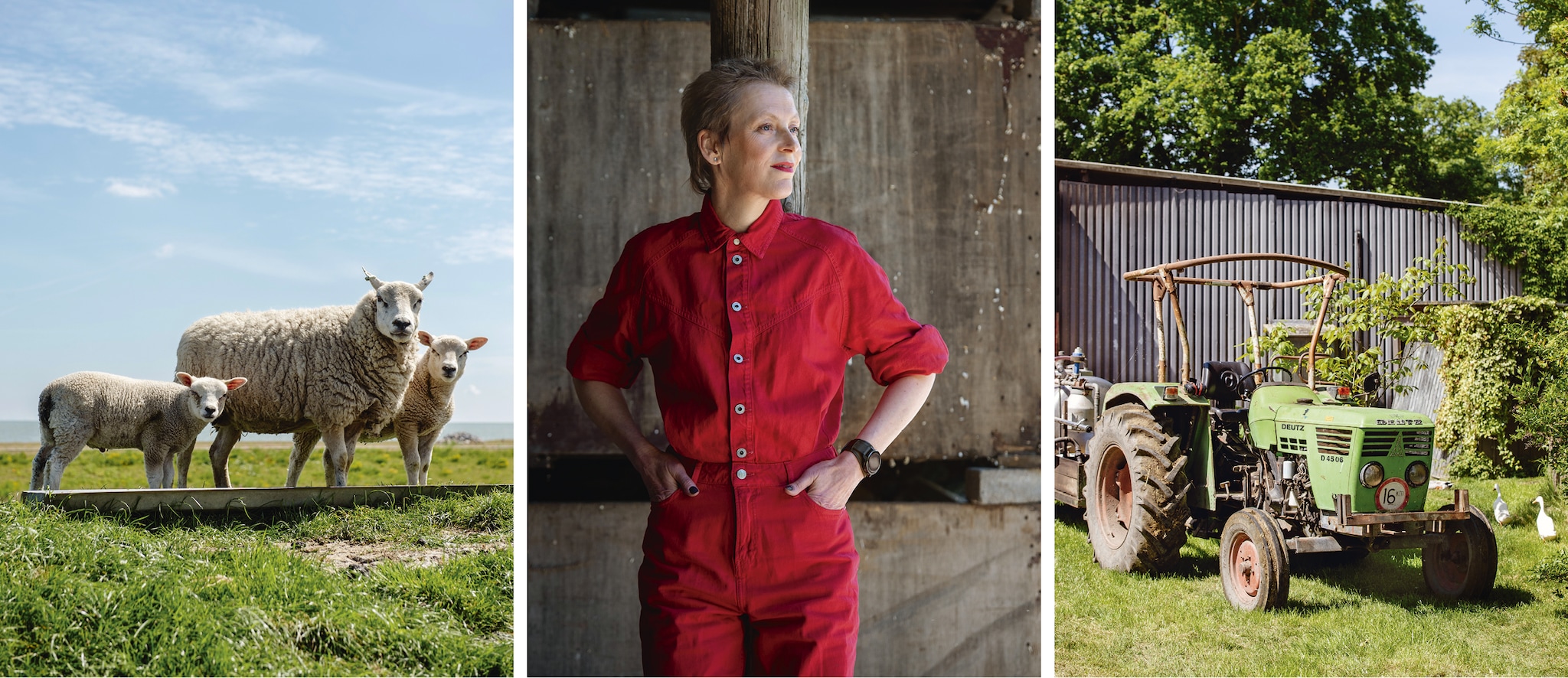 Zussen Marit en Petra: “Twee alleenstaande vrouwen met een ...