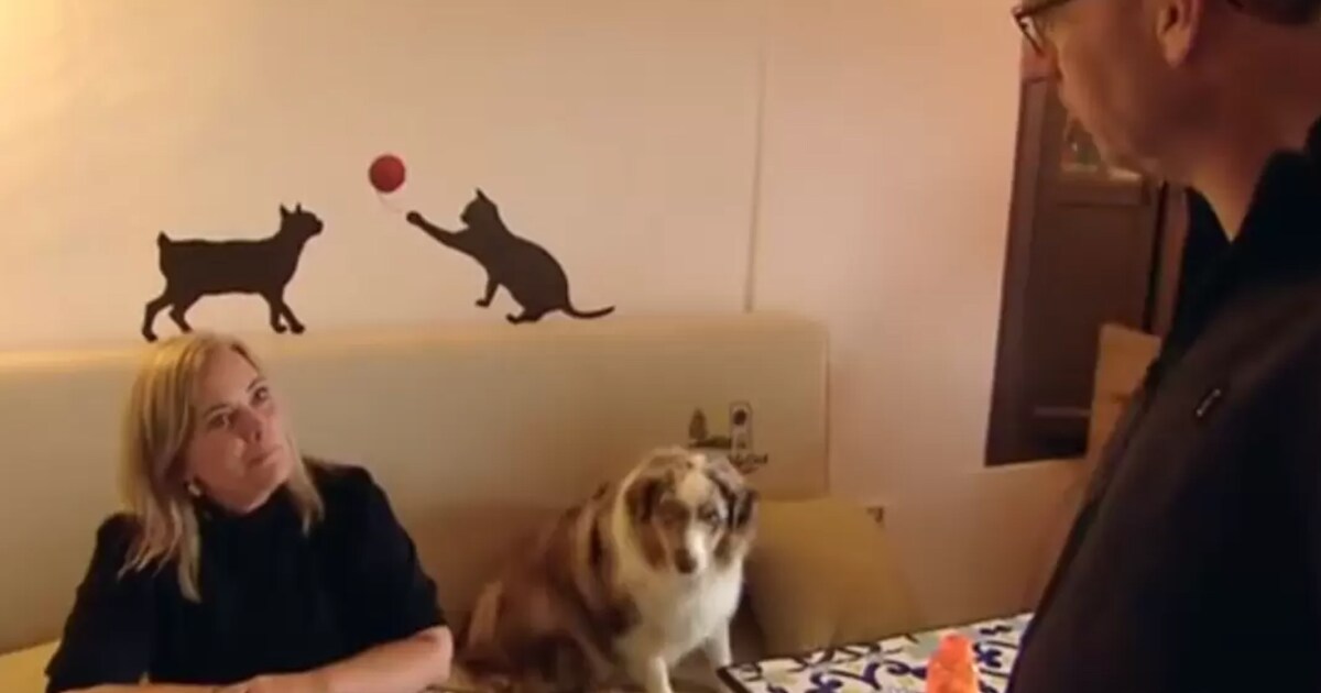 Kijkers zijn gecharmeerd van hoe Arie zijn verlies neemt in ‘B&B vol ...