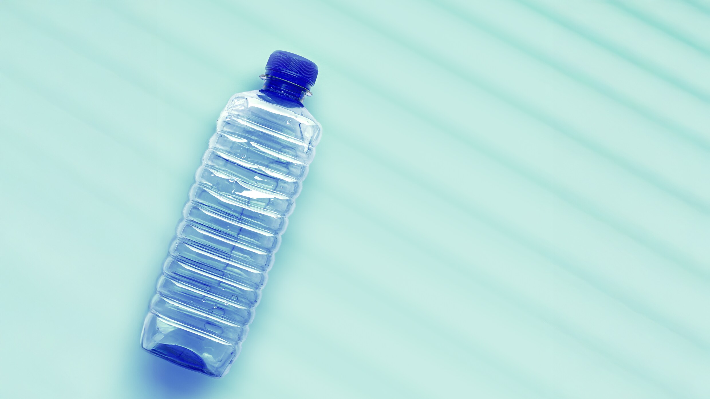 Doppen opsparen: zo steun je hulphonden met plastic doppen | Libelle