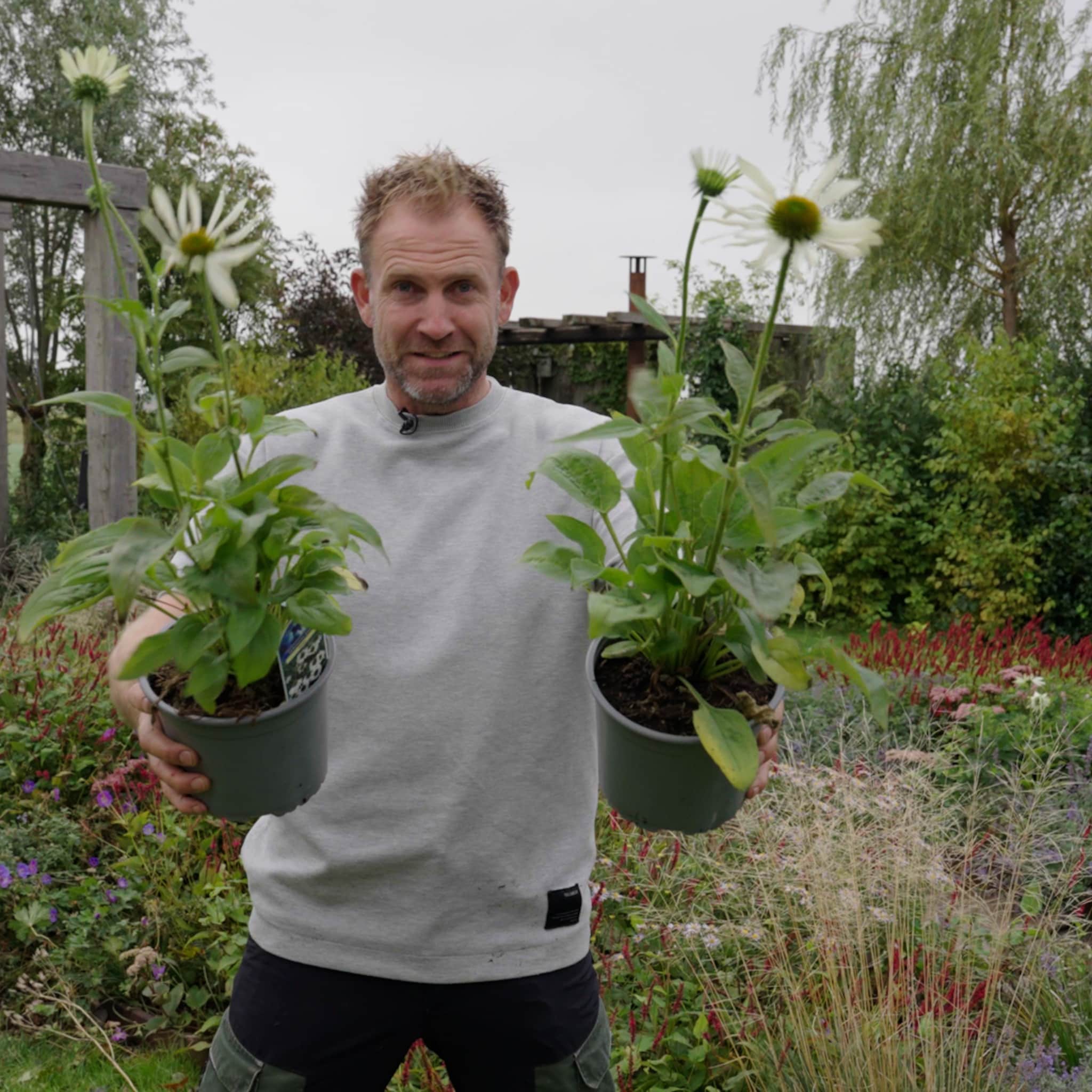 Tuin vergroenen? Zó krijg je een subsidie van de gemeente