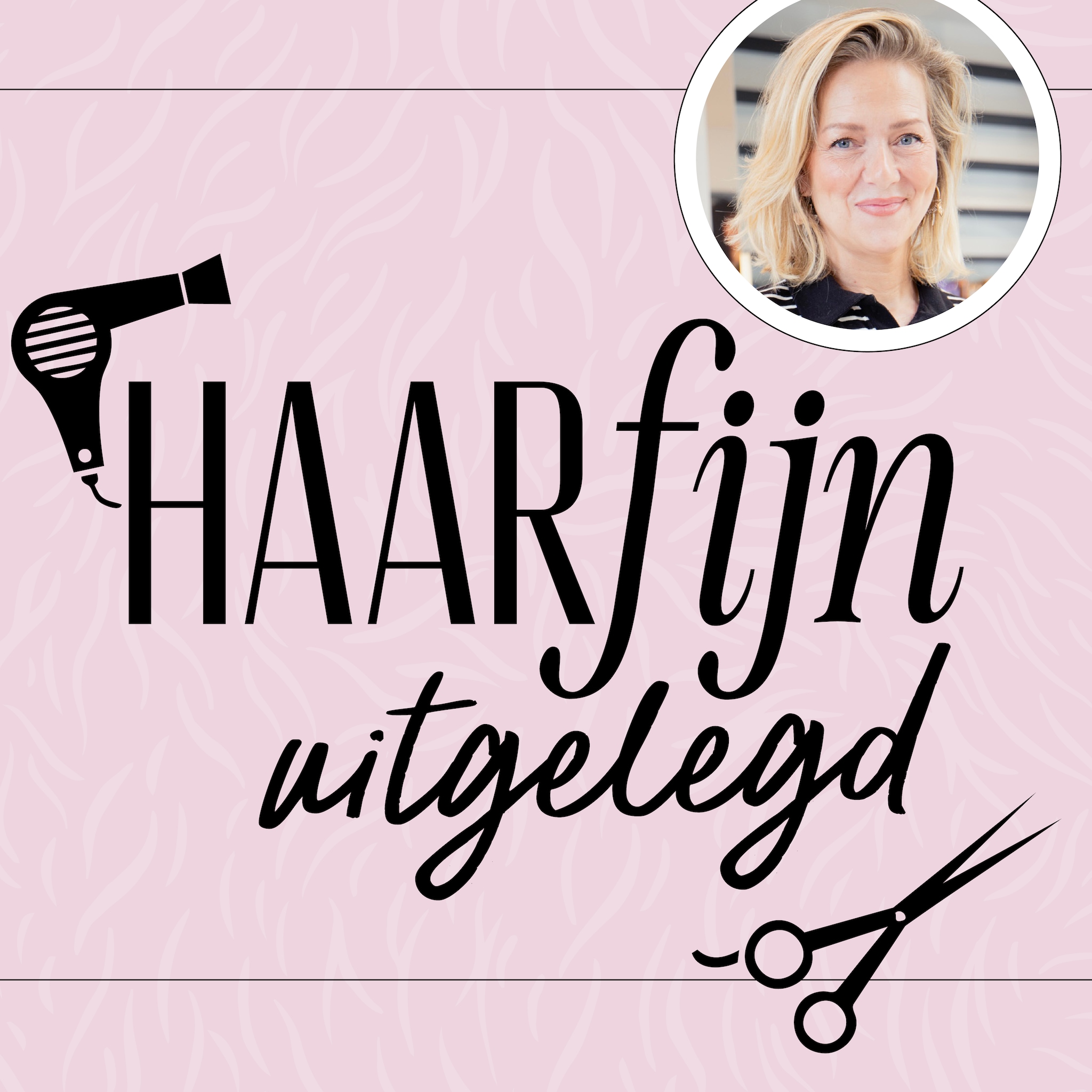Je kat miauwt veel? Deze dierenarts legt uit waarom katten miauwen