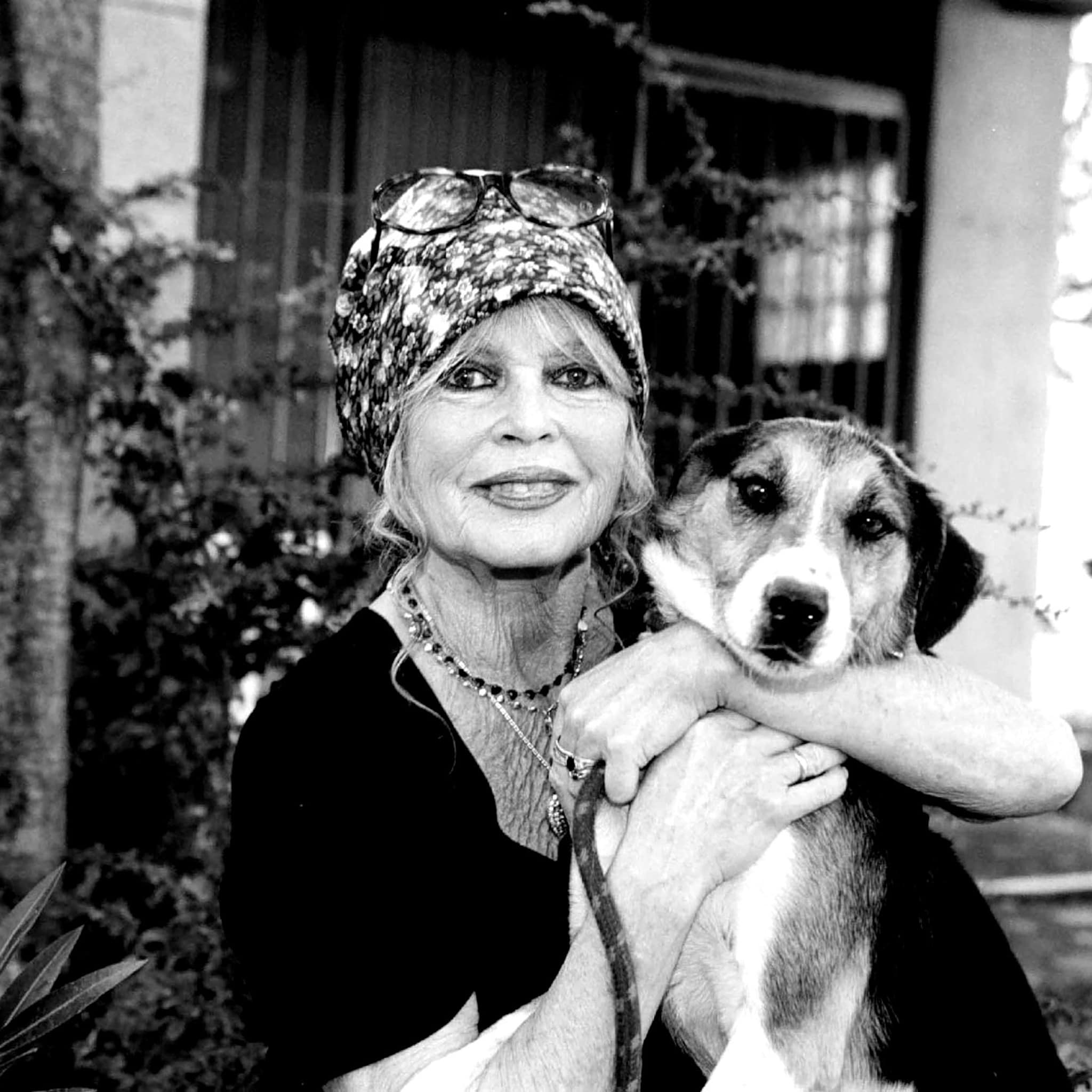 Dit is de échte reden achter het vertrek van Victor Reinier bij ...