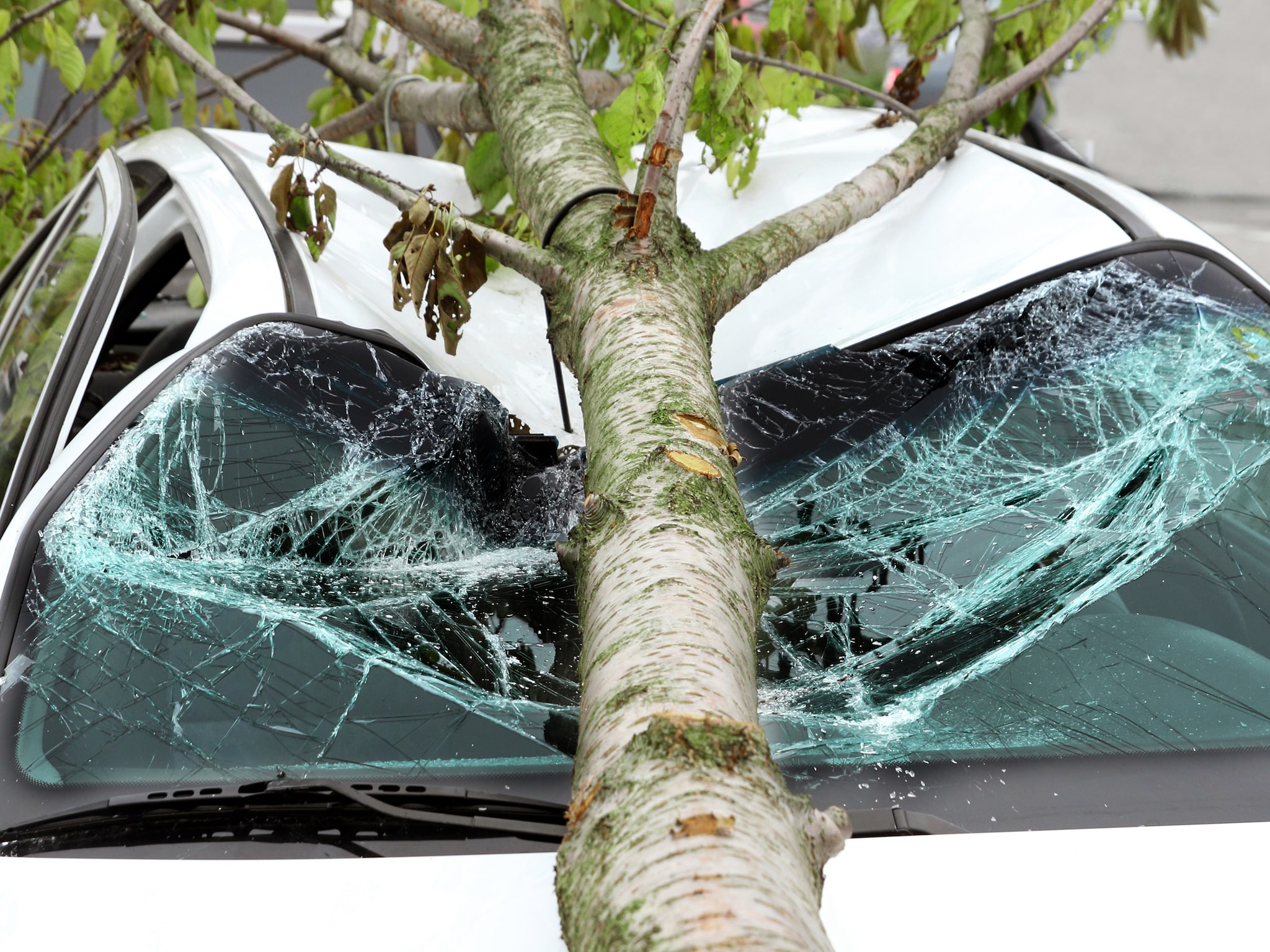 De auto van Hanneke (48) werd verpletterd door een boom tijdens een ...
