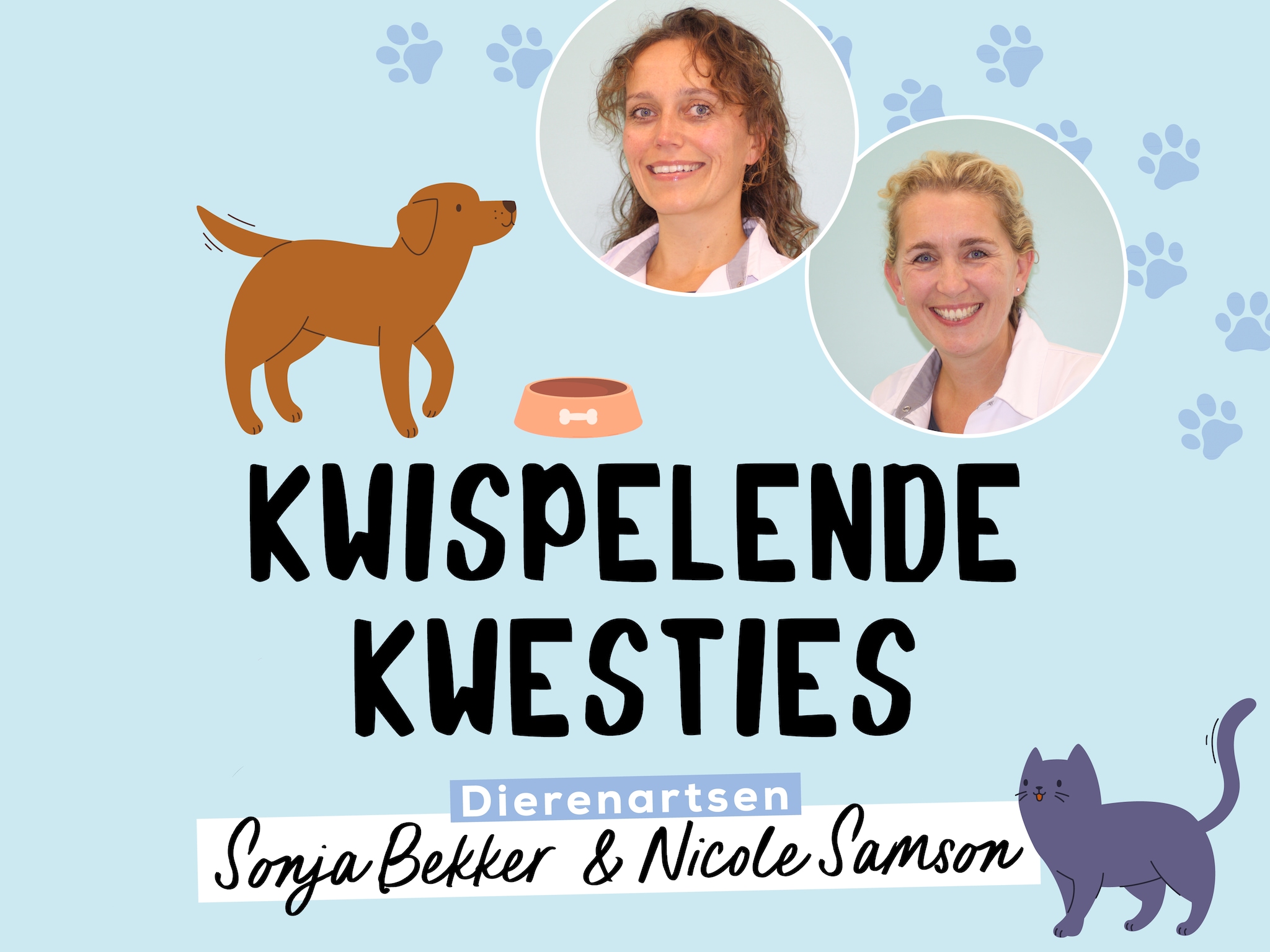 Is je huisdier te dik en moet-ie afvallen? Zo doe je dat volgens de ...