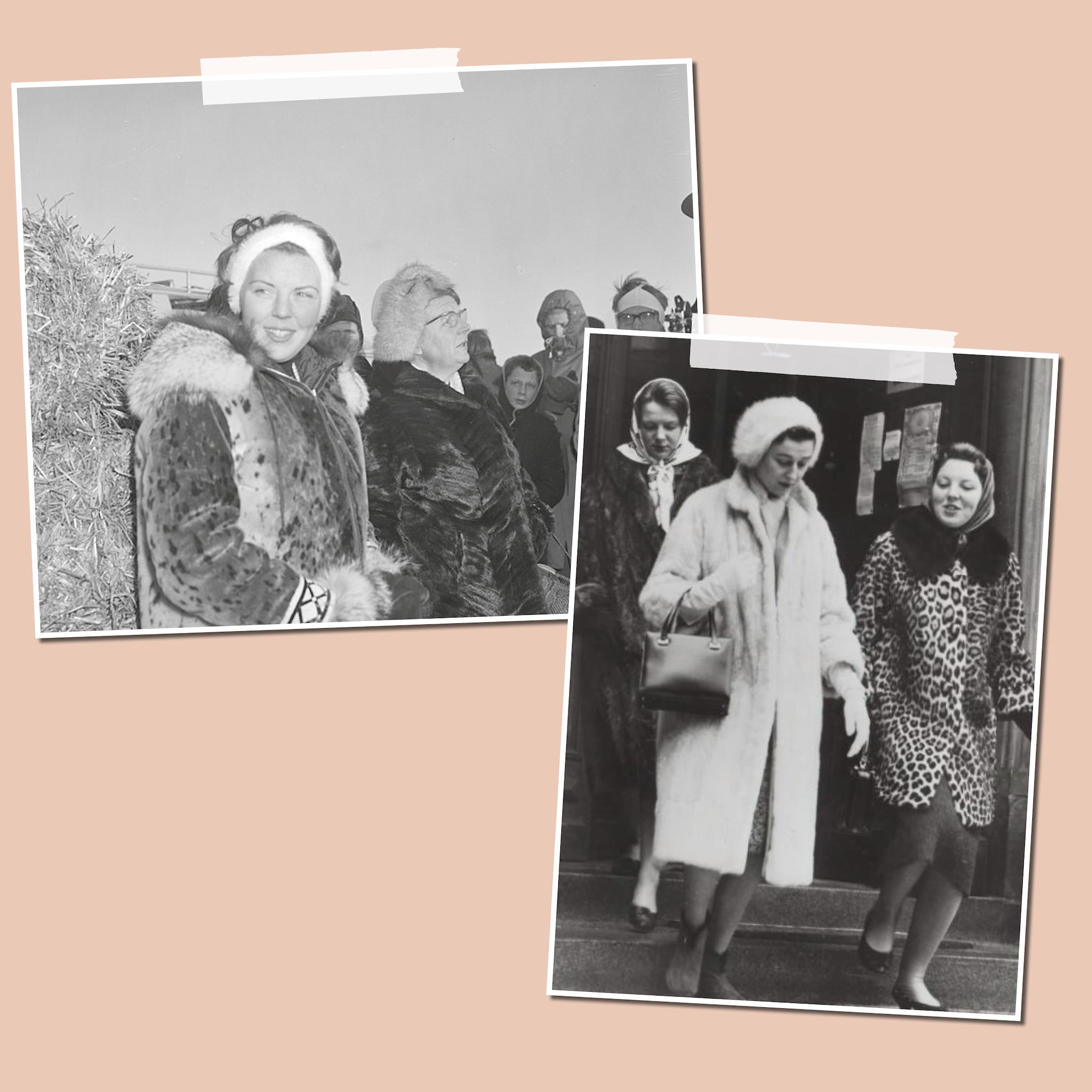 Hoe vaak komt mijn achternaam voor op de hele wereld?