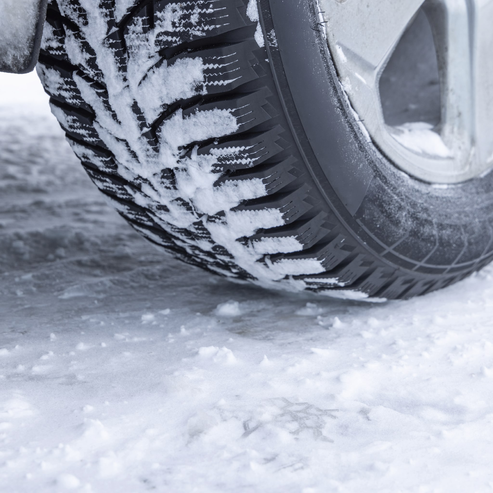 Dierenarts vertelt: zo lang kan je hond alleen thuisblijven