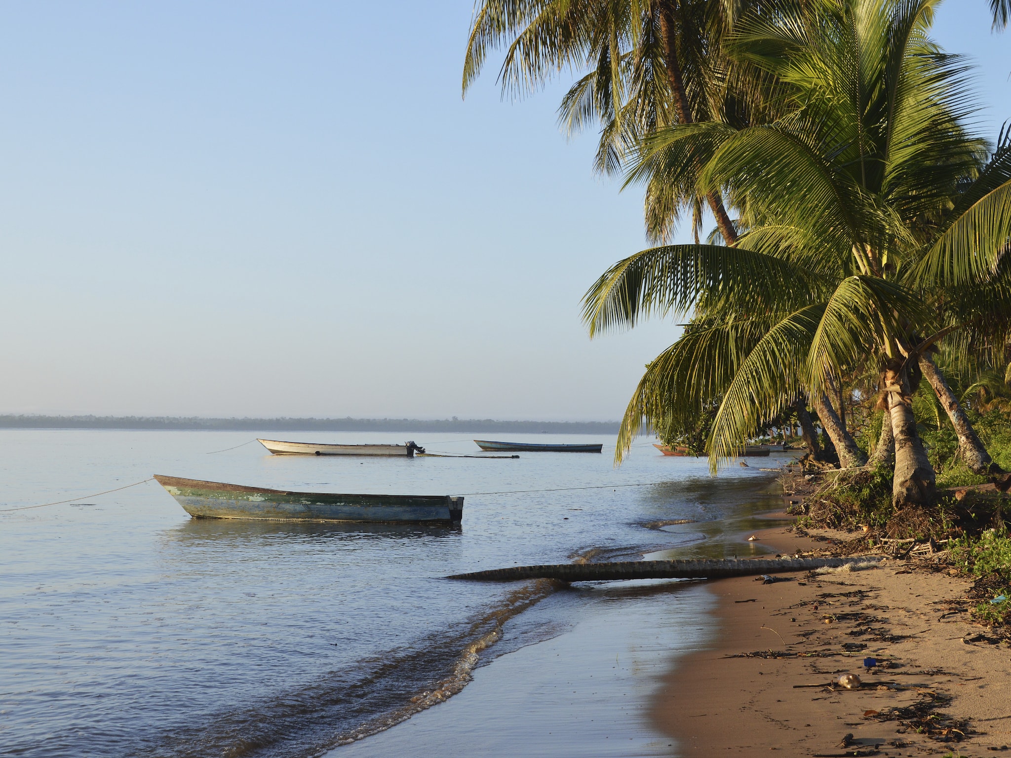 50 jaar onafhankelijkheid: dit zijn dé 5 plekken in Suriname die je ...