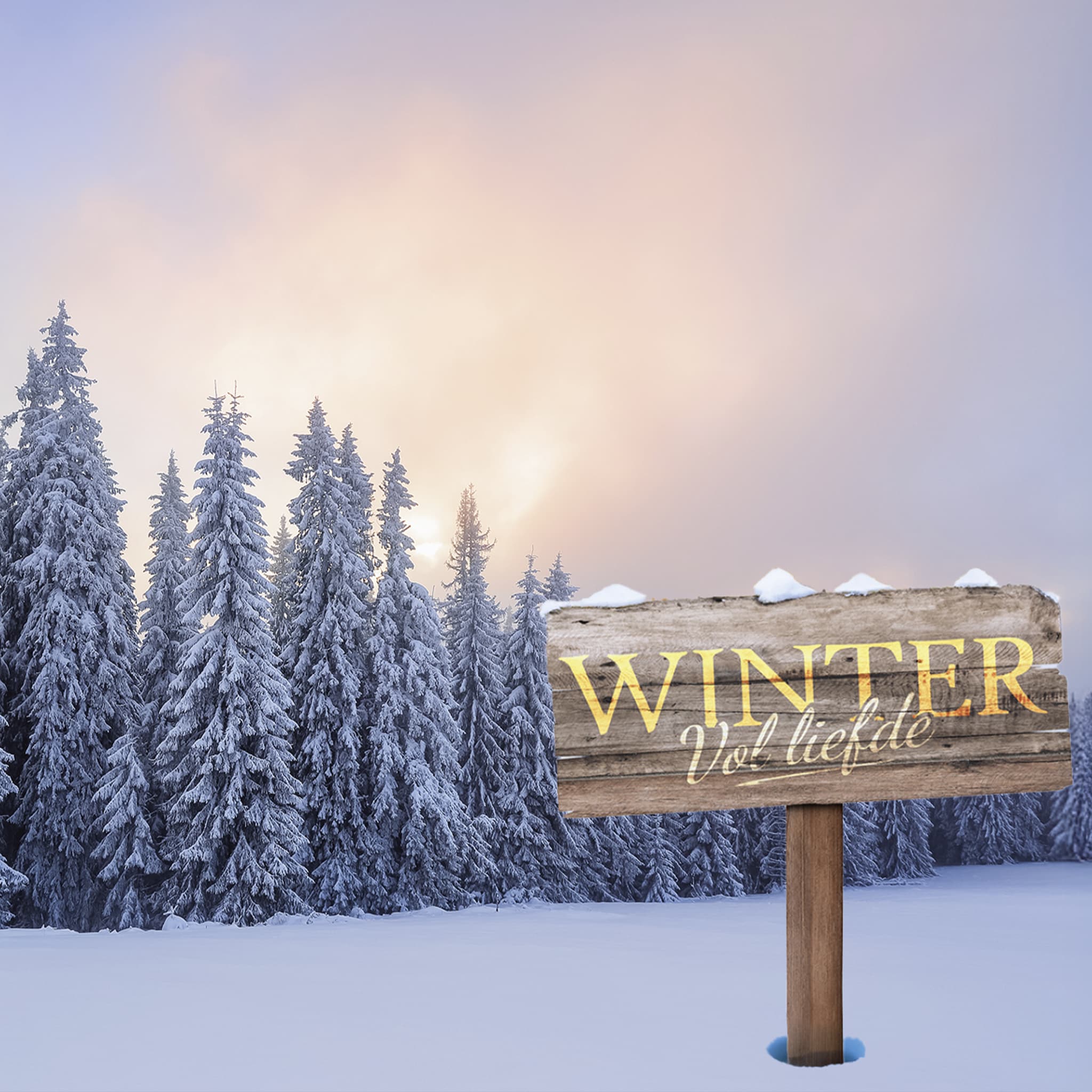 Jean-Paul uit ‘B&B vol liefde’ deelt foto’s van zijn nieuwe liefde