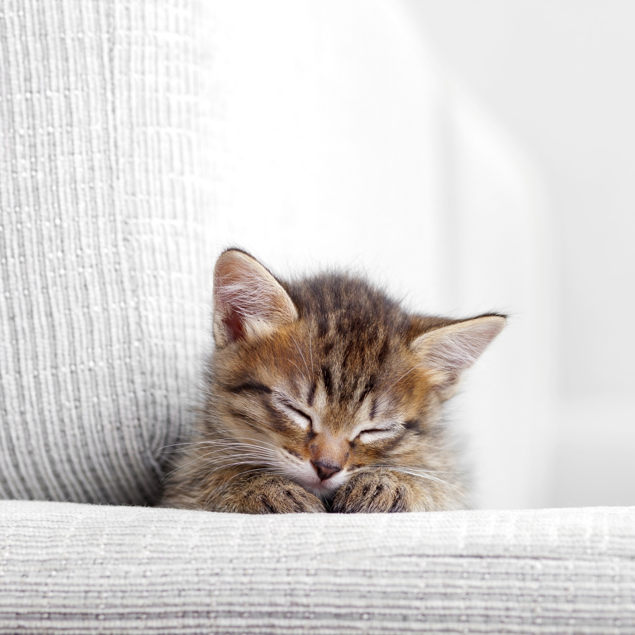 Zó oud worden vrouwen wereldwijd gemiddeld