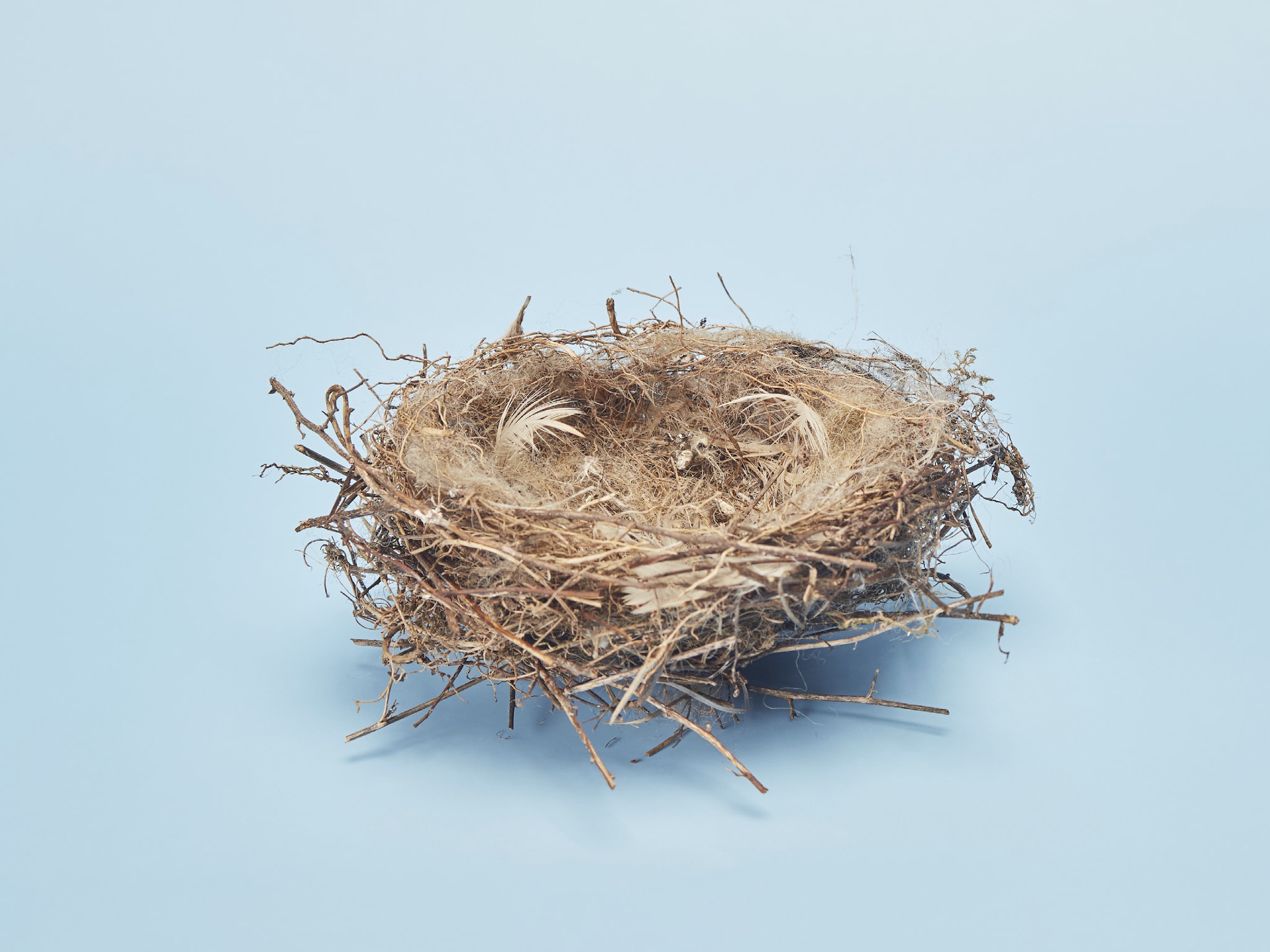 Empty nest? Zo voelt je huis weer van jou (zonder dat je kinderen 'weg ...