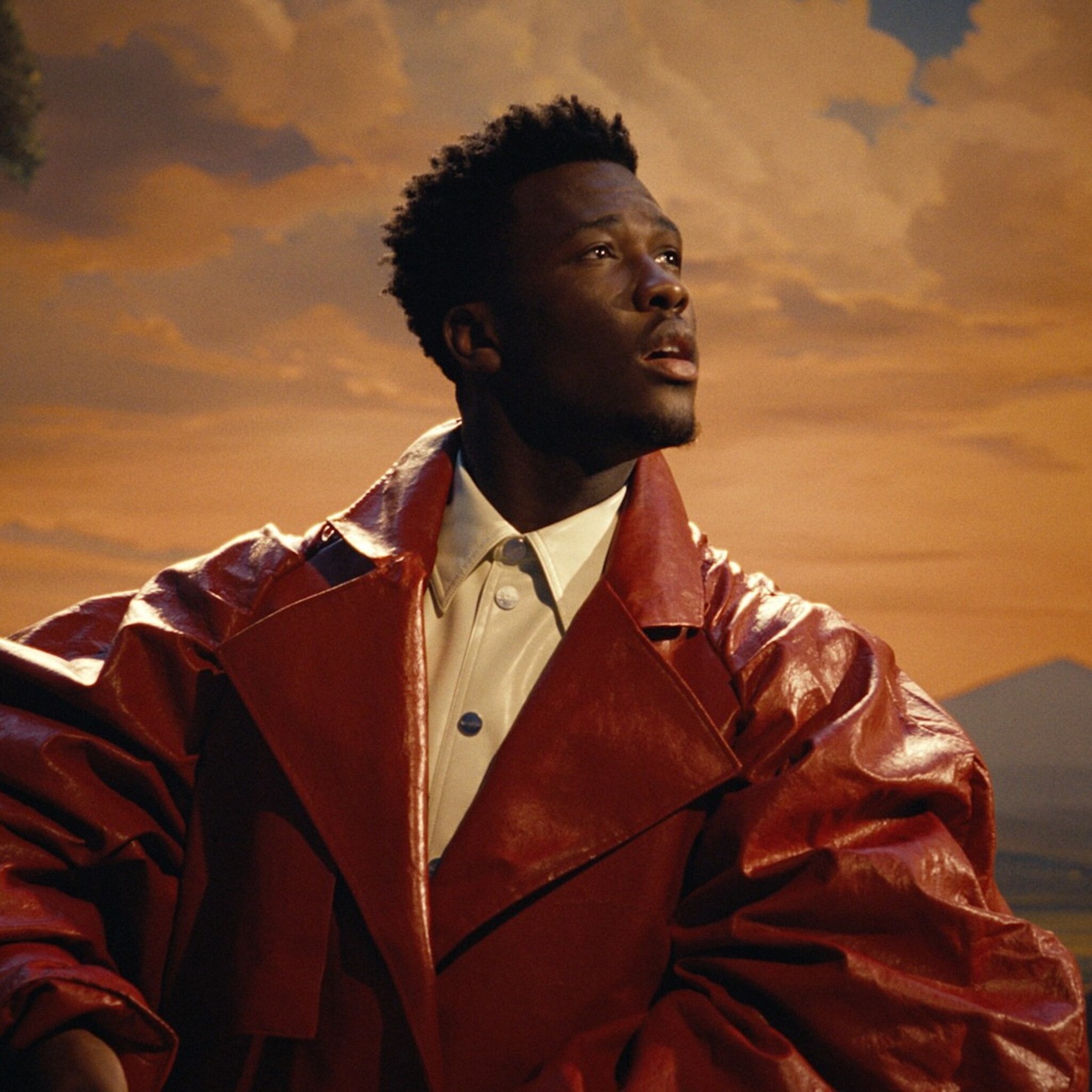 Will Koopman: ‘Na een periode van diep verdriet wandel je weer terug ...