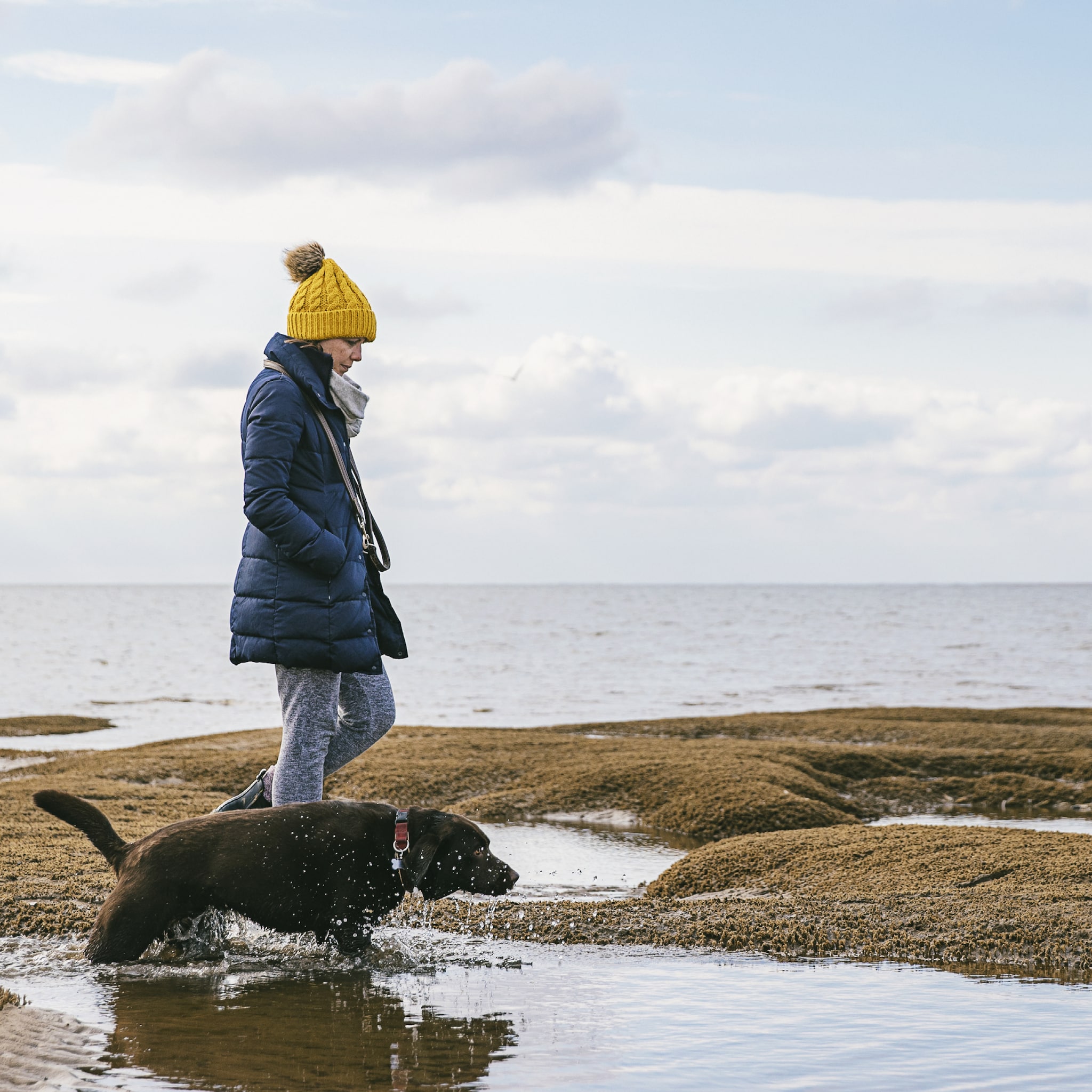 Hoe rood ís die neus van rendier Rudolph eigenlijk?