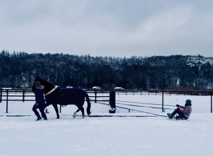 Winterpret: dit zijn jullie grappigste sneeuwfoto’s