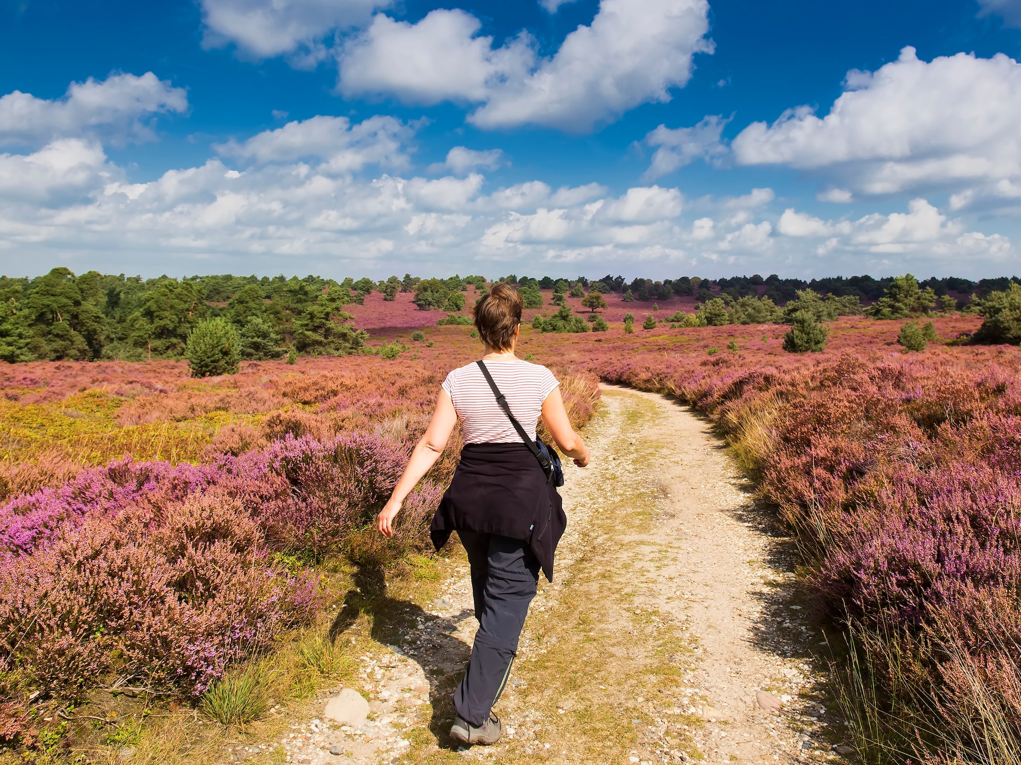 Dit zijn de 7 leukste klompenpaden om te wandelen